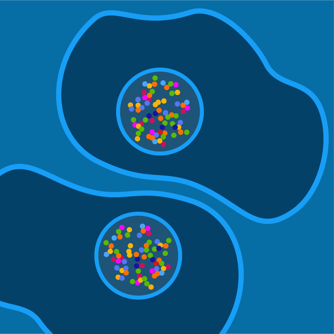 Contact Info | Bruker Spatial Genomics, Inc.