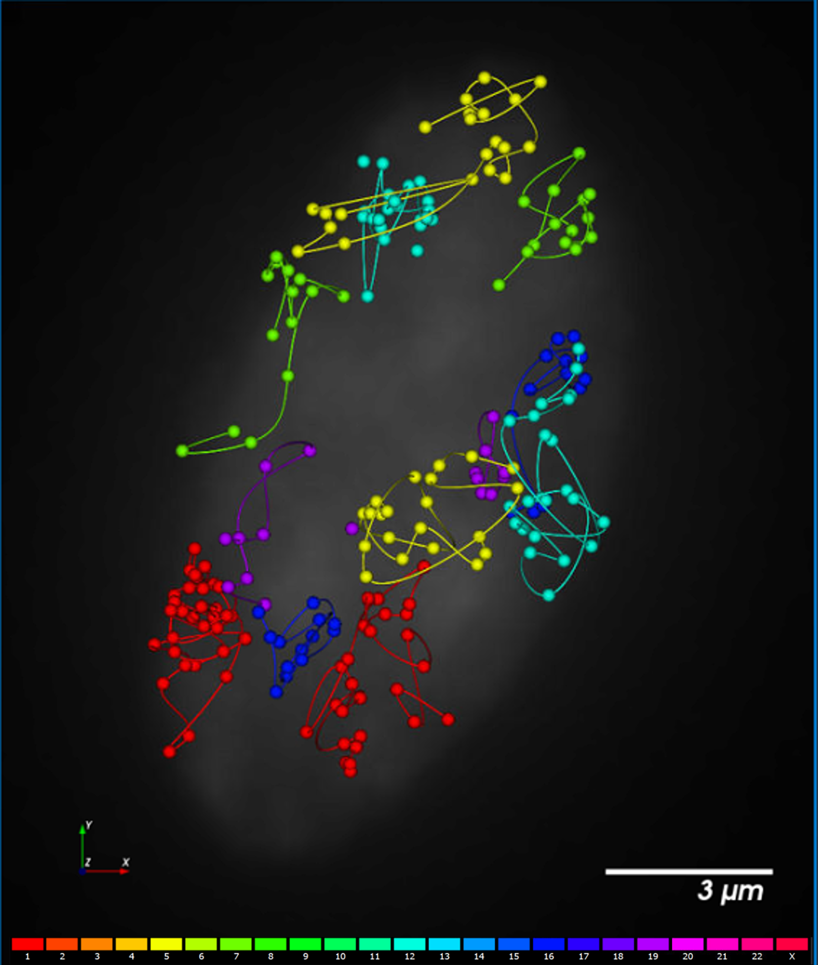Bruker Spatial Genomics | Visualize the 3D genome
