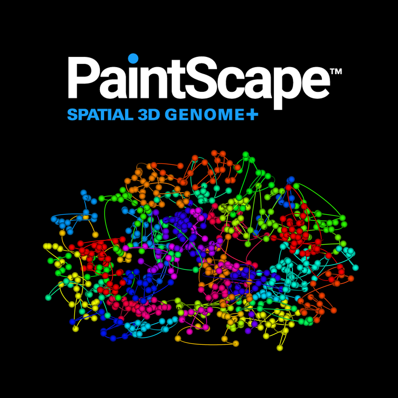 Bruker Spatial Genomics | Direct in situ visualization of the 3D genome